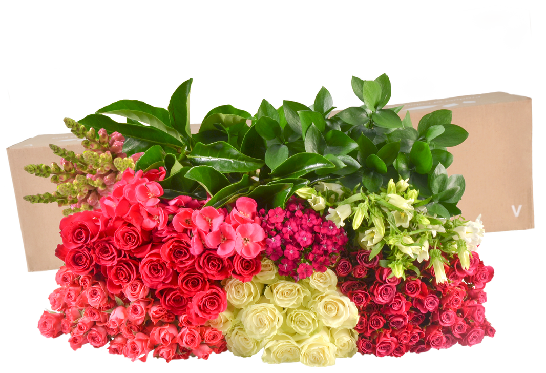 Rose-Kissed Romance – Kroger Wedding Collection
